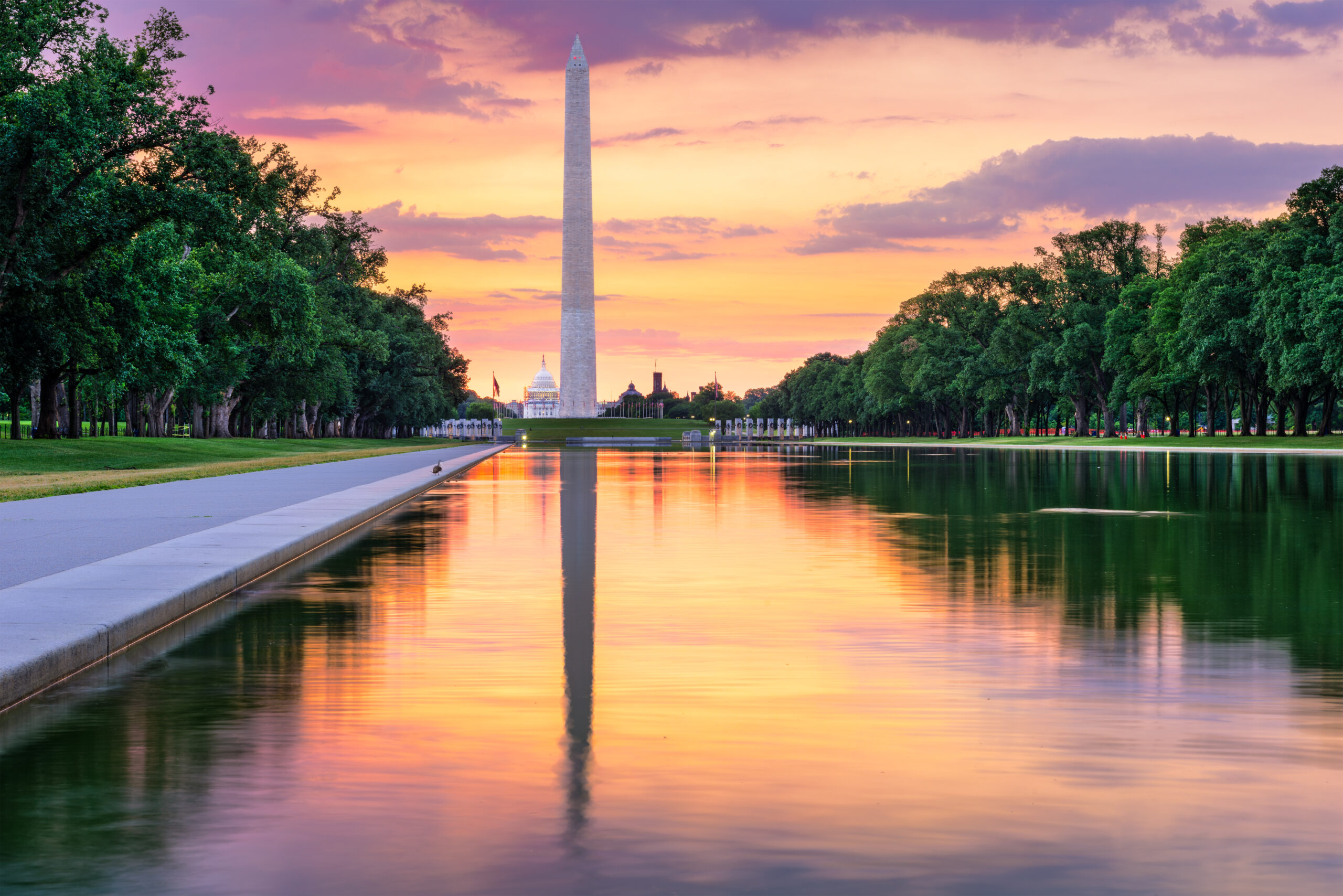Washington DC and Monument · The DMV Daily